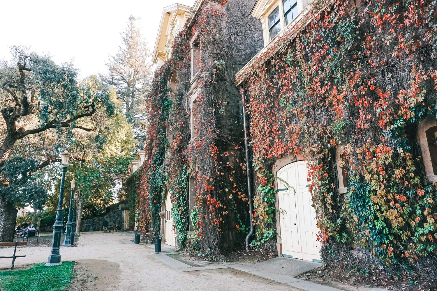 Napa Travel Guide & Itinerary - Fearless Captivations