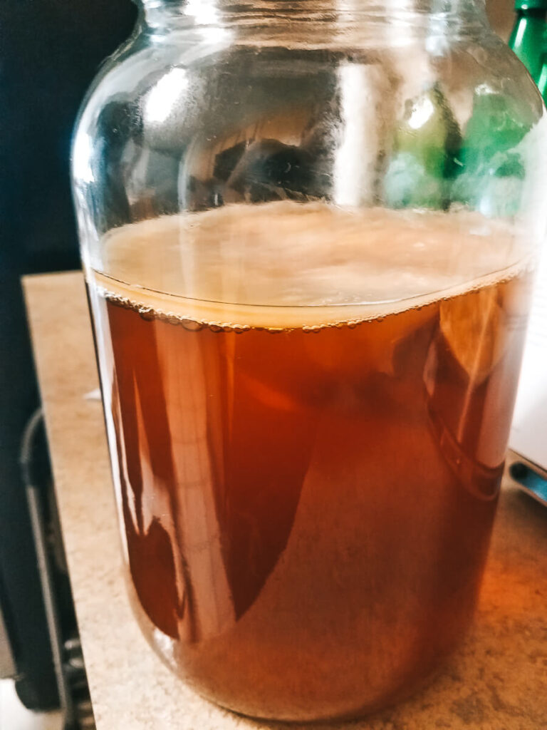 Simple Guide to Brewing Kombucha - Fearless Captivations