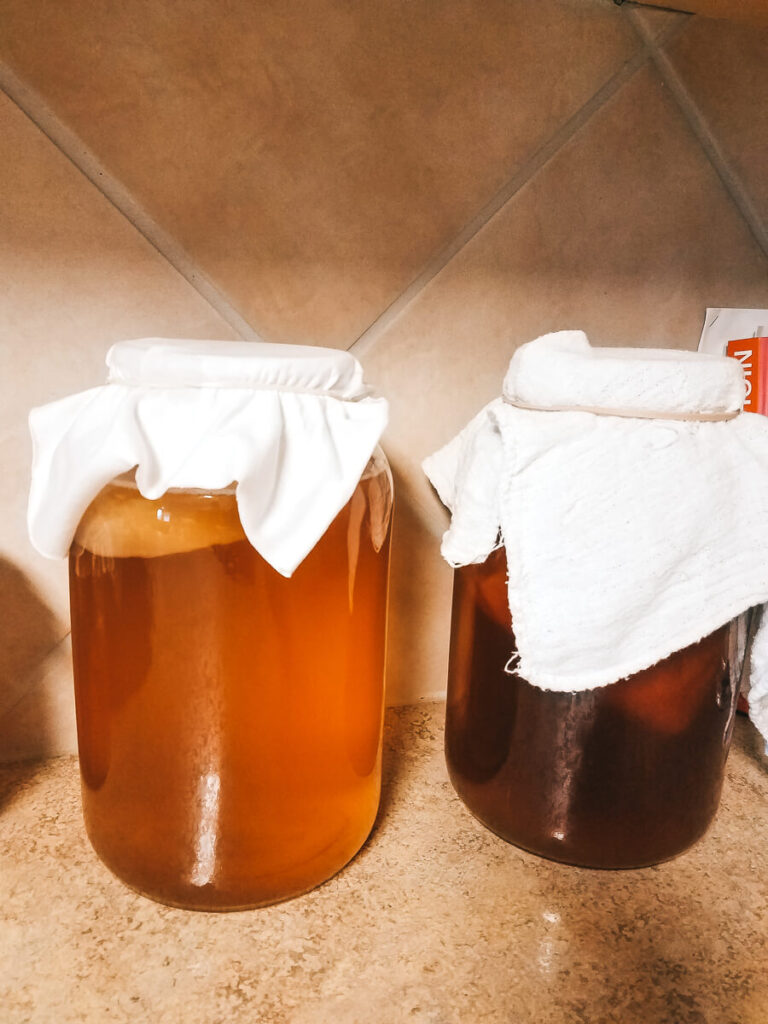 Simple Guide to Brewing Kombucha - Fearless Captivations