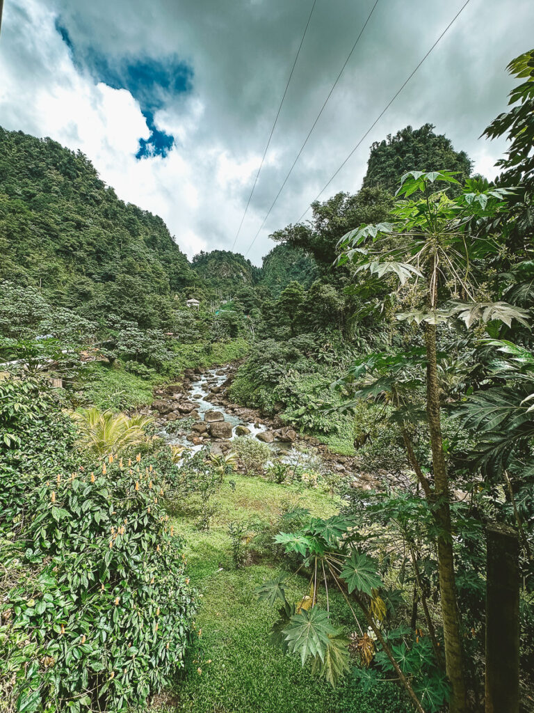 Best Restaurants in Dominica - Fearless Captivations