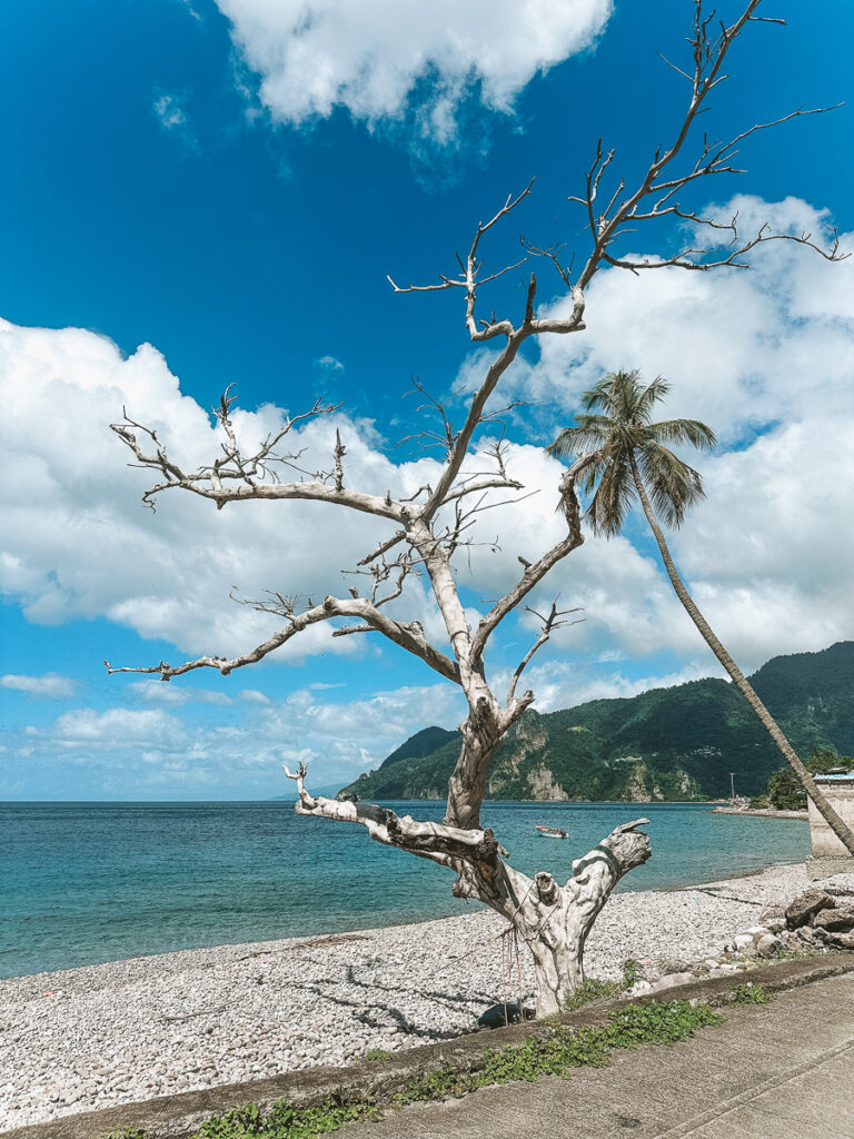 Dominica Travel Guide + Trip Itinerary - Fearless Captivations