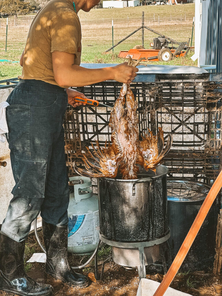 Why I Took a Chicken Butchery Class at H2Grow
