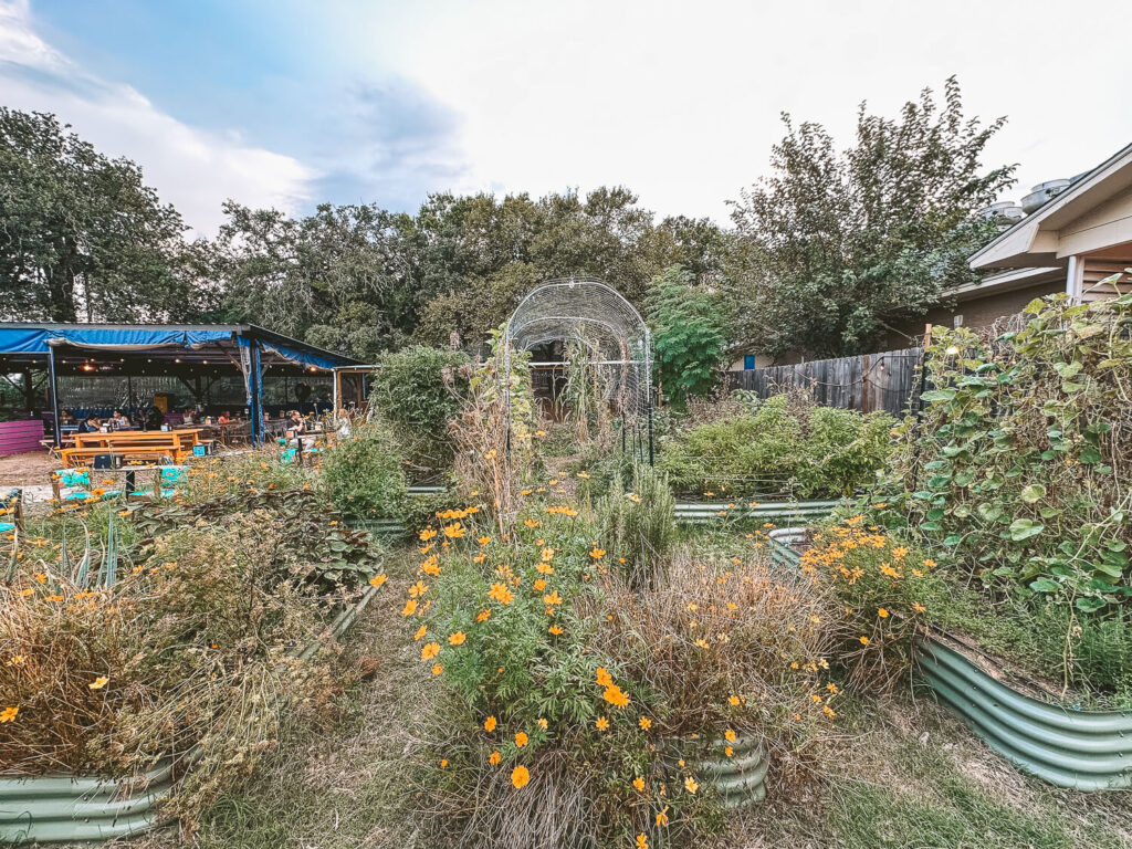 Masa Omakase at Nixta Taqueria is a Tasting Menu Must-Try